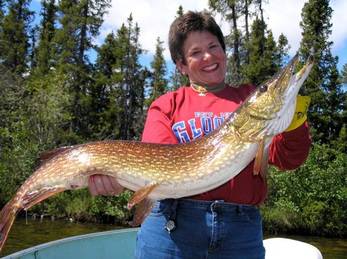 Central Barren Ground Caribou Hunting Guide, Outfitter, Booking Agent